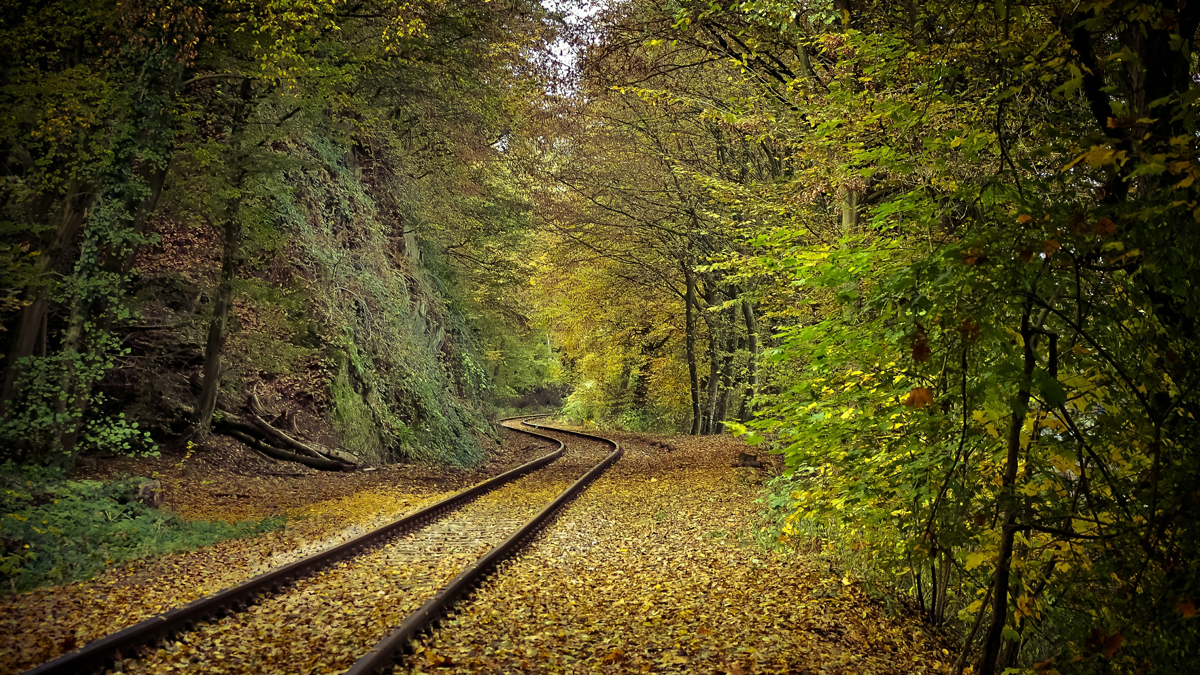 3840x2160, Forest Train Track Wallpaper - Forest With Train Tracks ...