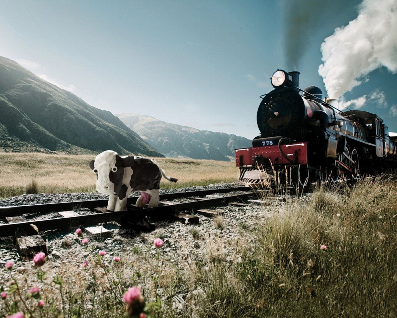 Train Cow - 1280x1024 Wallpaper - teahub.io