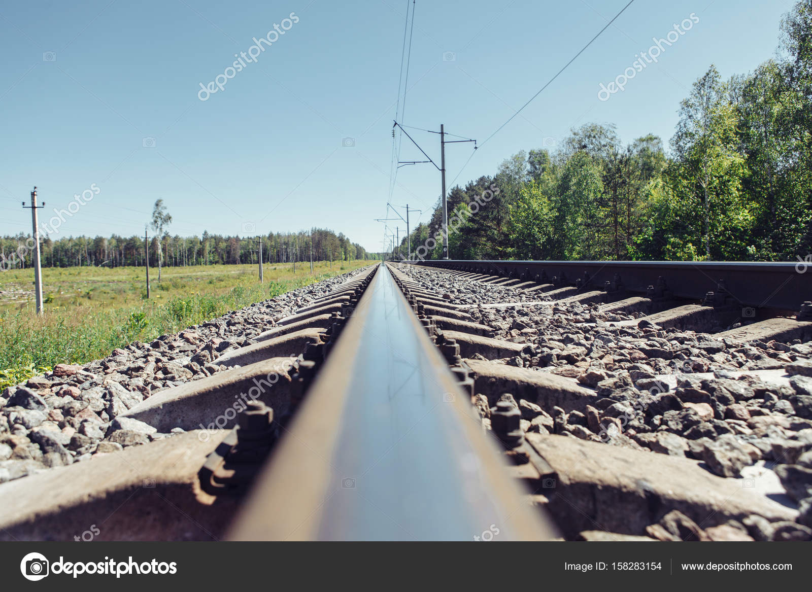 Primer Plano Y Segundo Plano - 1600x1167 Wallpaper - teahub.io