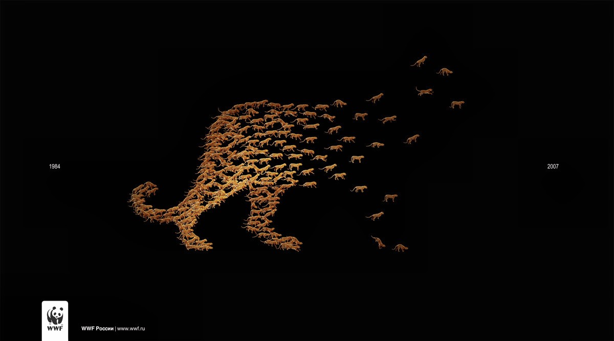 Wwf Wallpapers - 1200x667 Wallpaper - teahub.io