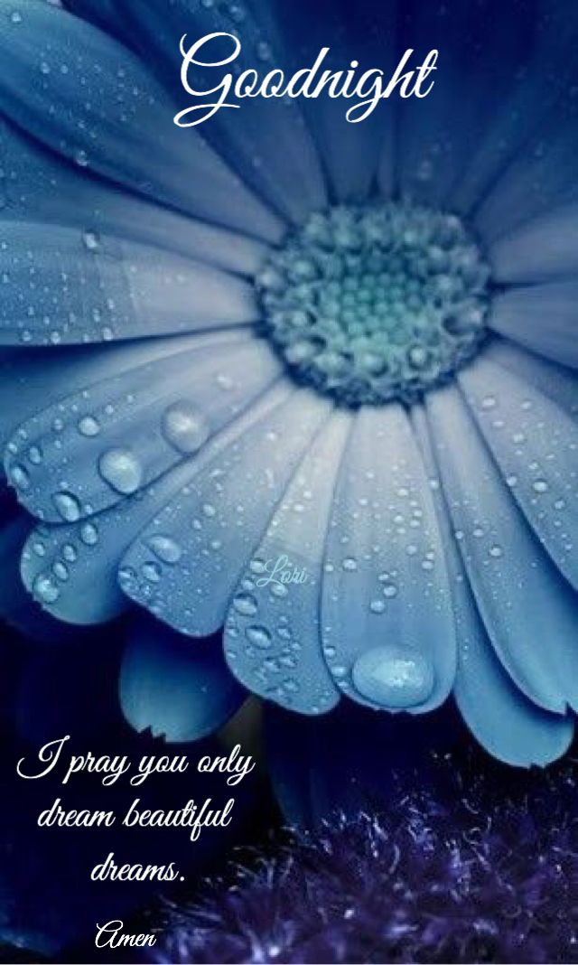 Good Night Blue Flower - 640x1068 Wallpaper - teahub.io