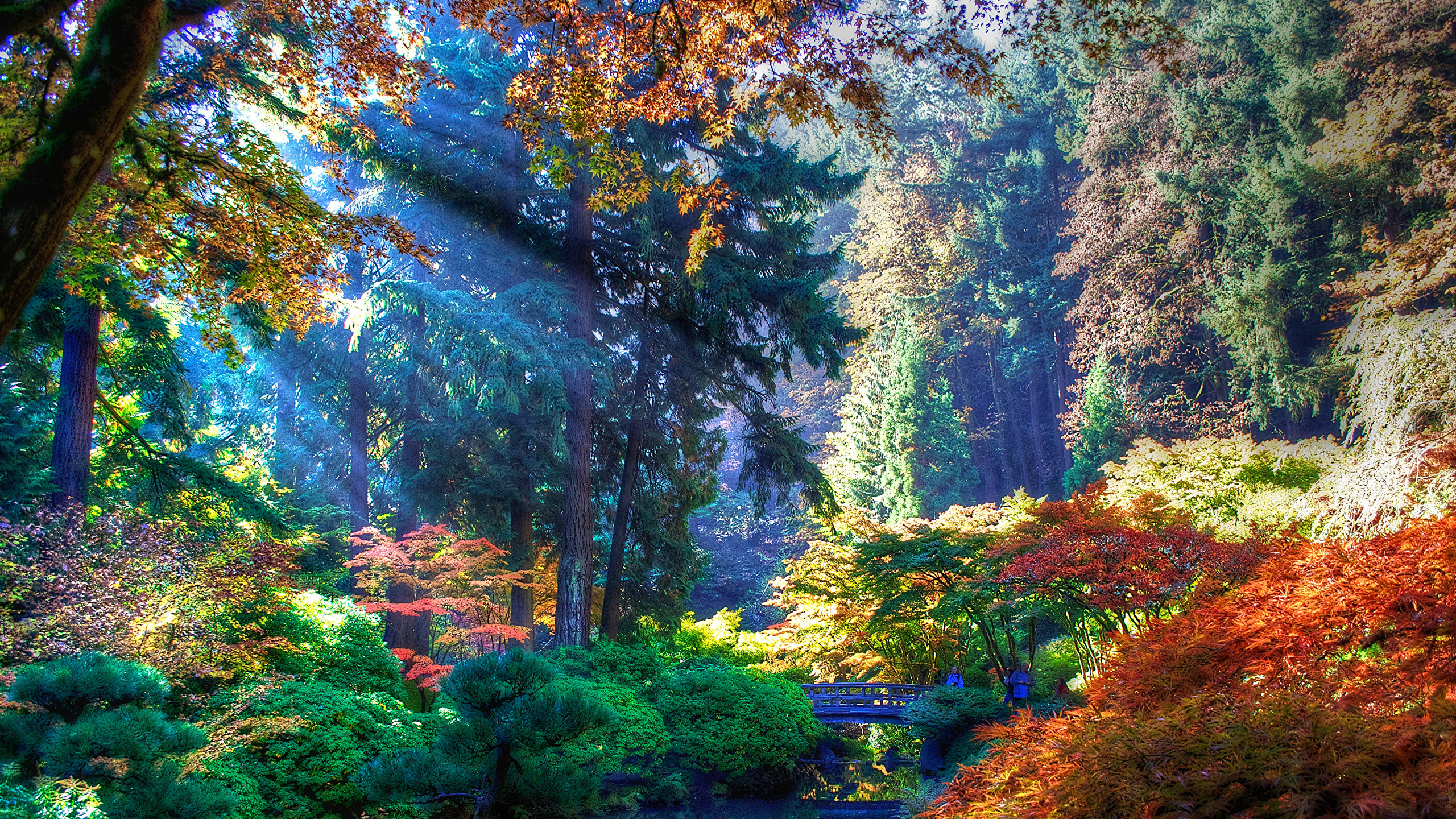 Portland Oregon Nature - 2560x1440 Wallpaper - teahub.io