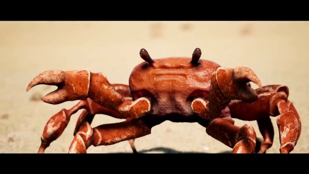 Crab From Crab Rave - 1000x562 Wallpaper - teahub.io