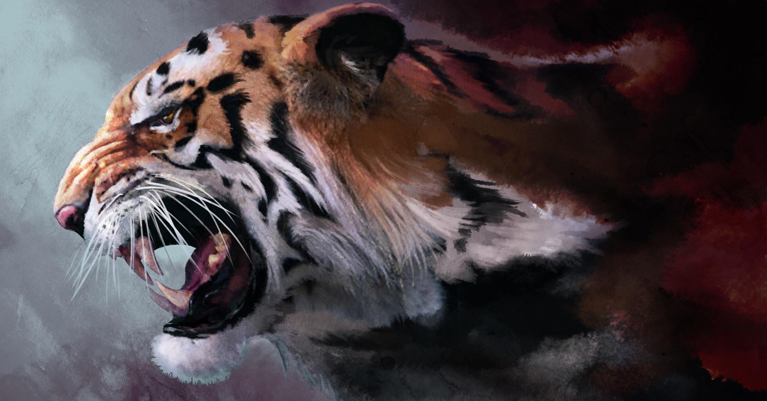Angry Tiger Facebook Cover - 2560x1339 Wallpaper - teahub.io