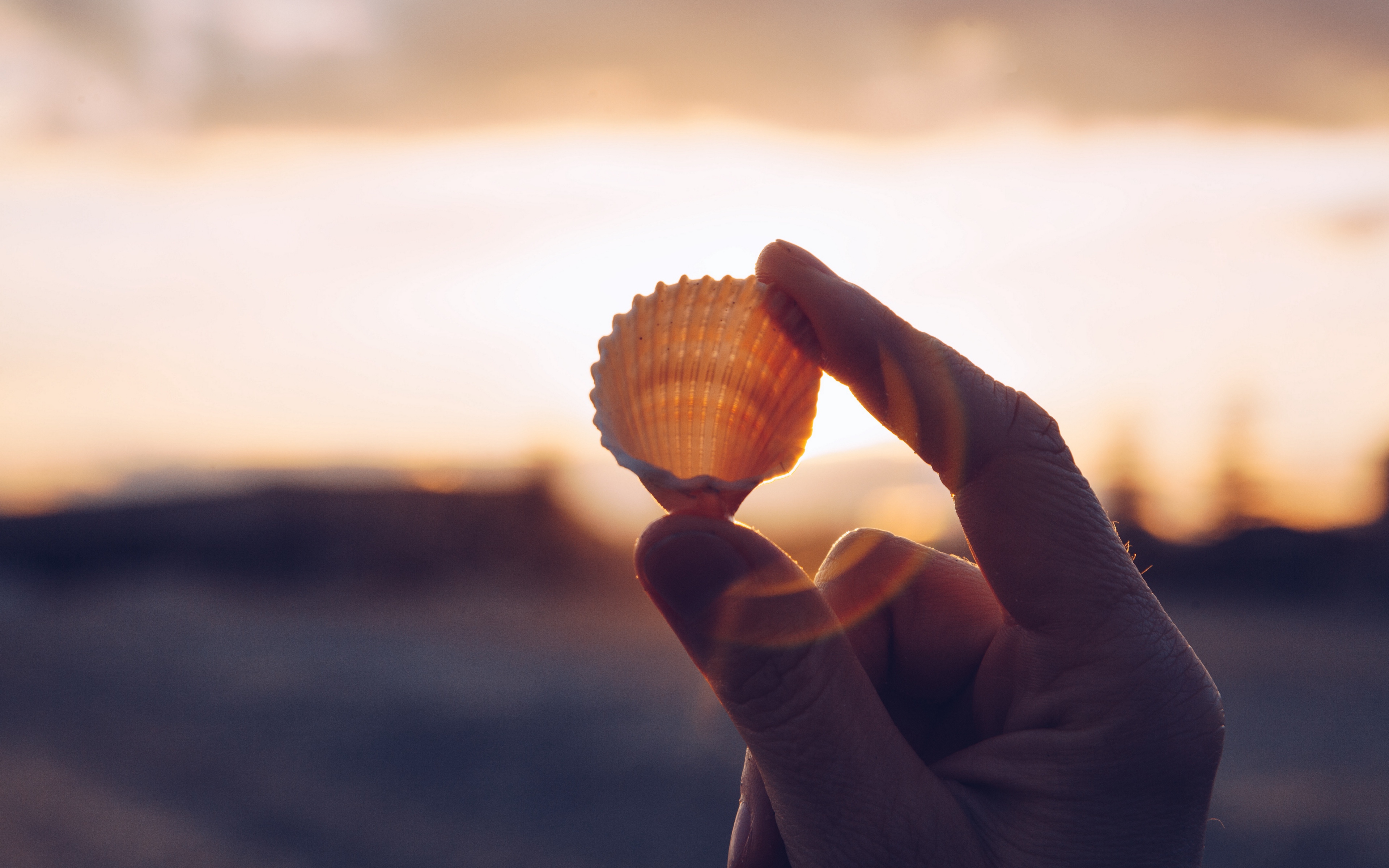 Wallpaper Shell, Hands, Sunlight, Fingers - Shell On Hand - 3840x2400 ...