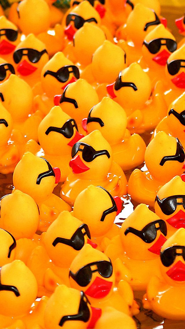 Rubber Ducks With Glasses 640x1136 Wallpaper
