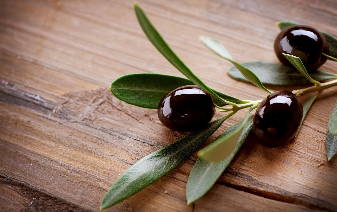 Olive Branch Wallpapers - Olive Tree - 1280x804 Wallpaper - teahub.io