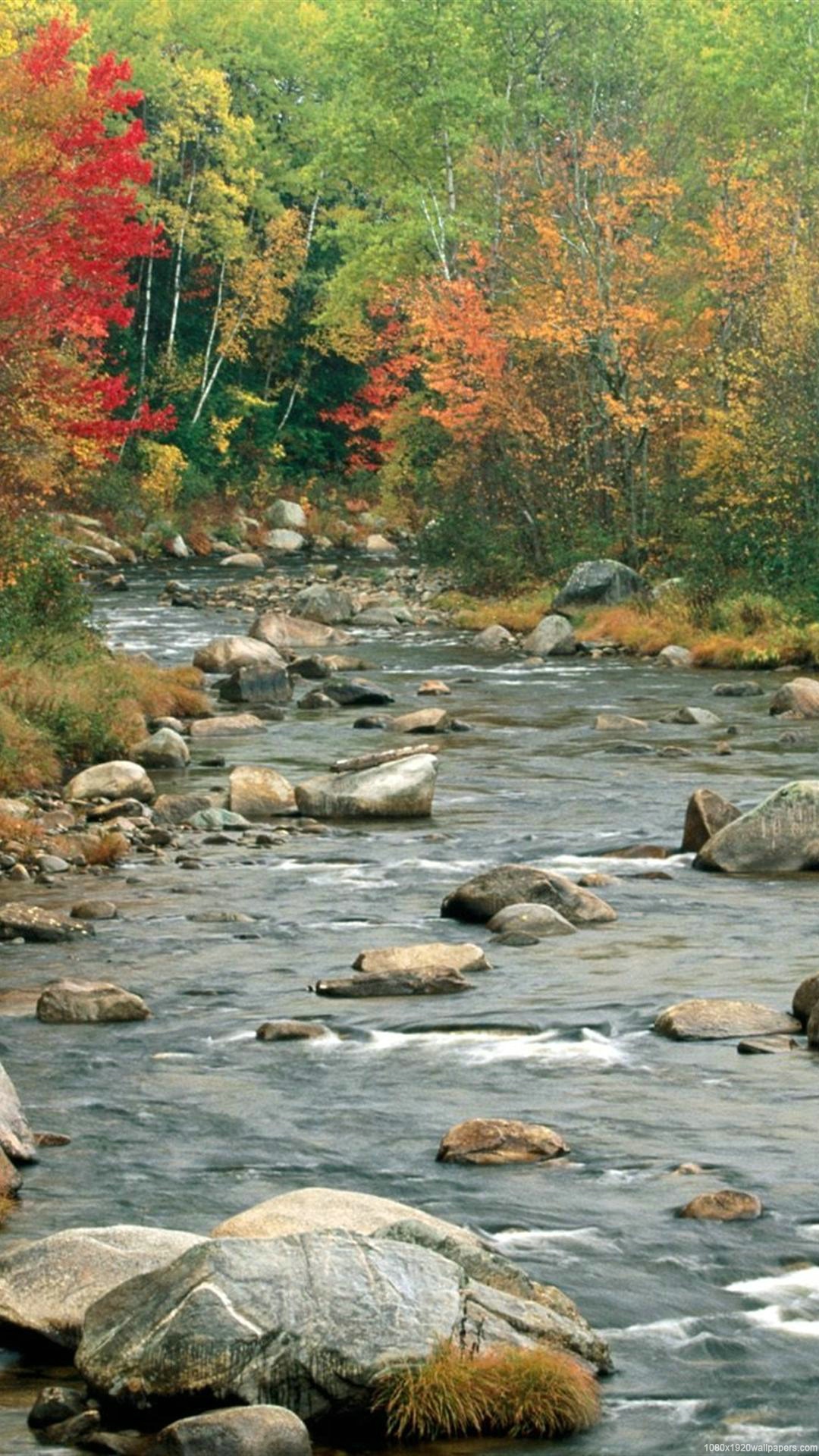 Download Mountain Autumn White Color Nature Wallpapers Hd - Hd ...