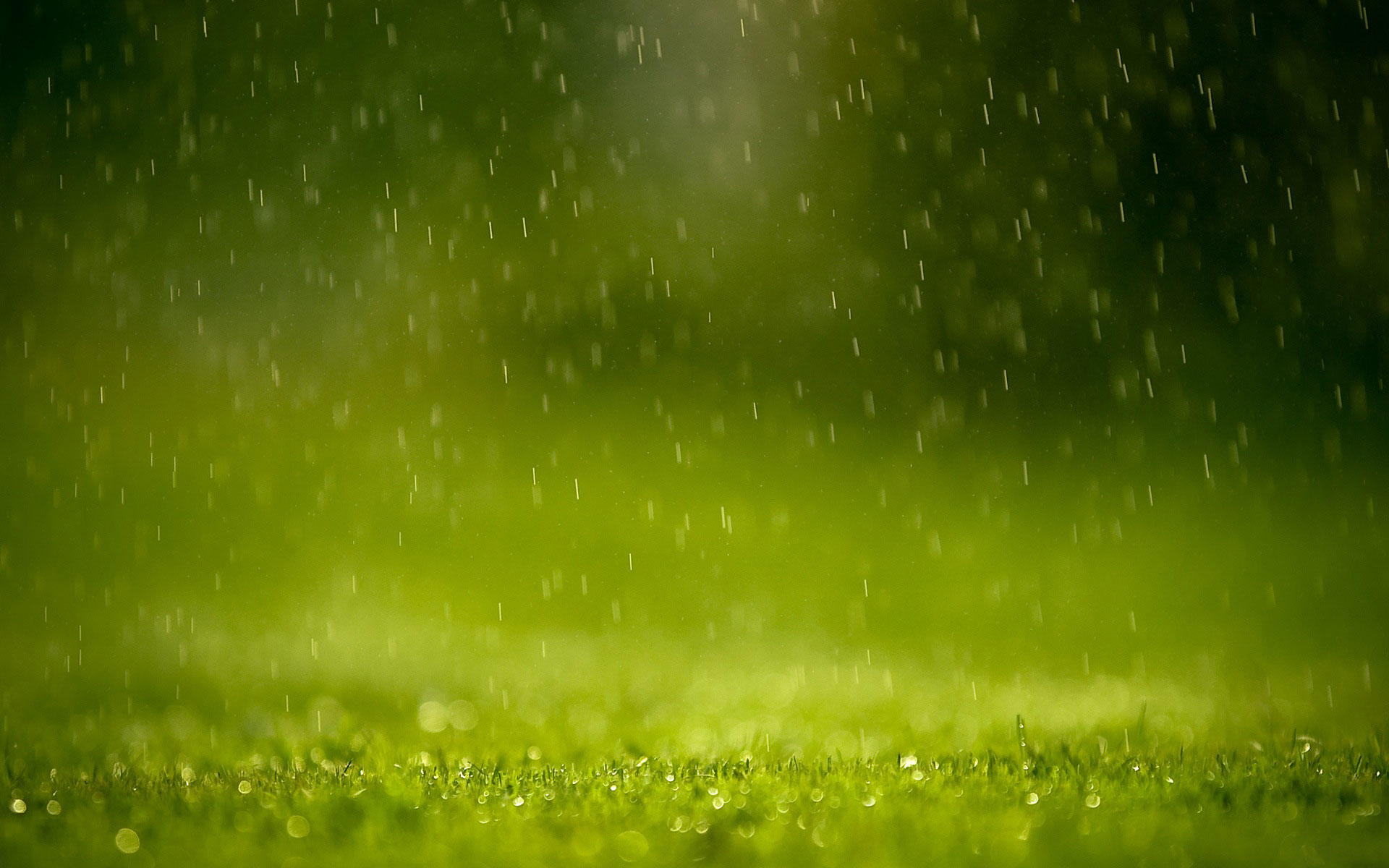 Rain In Green Field - 1920x1200 Wallpaper - teahub.io
