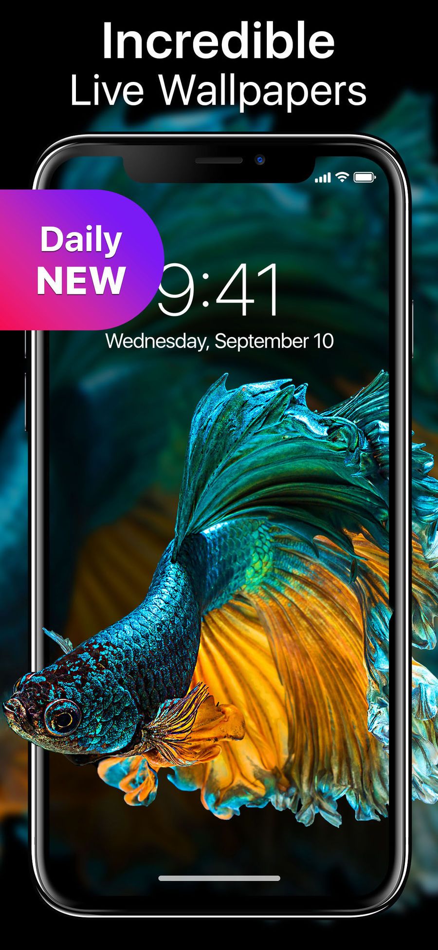 Live Wallpaper Now - 900x1949 Wallpaper - teahub.io