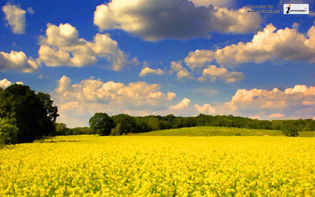 Spring Background Field High Resolution - 1024x640 Wallpaper - teahub.io