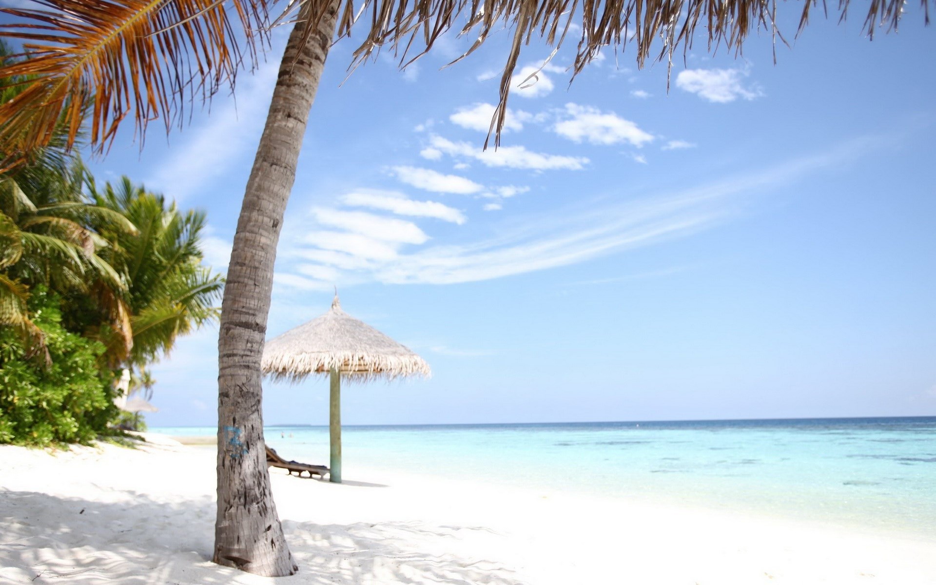 Beach View Hd - 1920x1200 Wallpaper - teahub.io