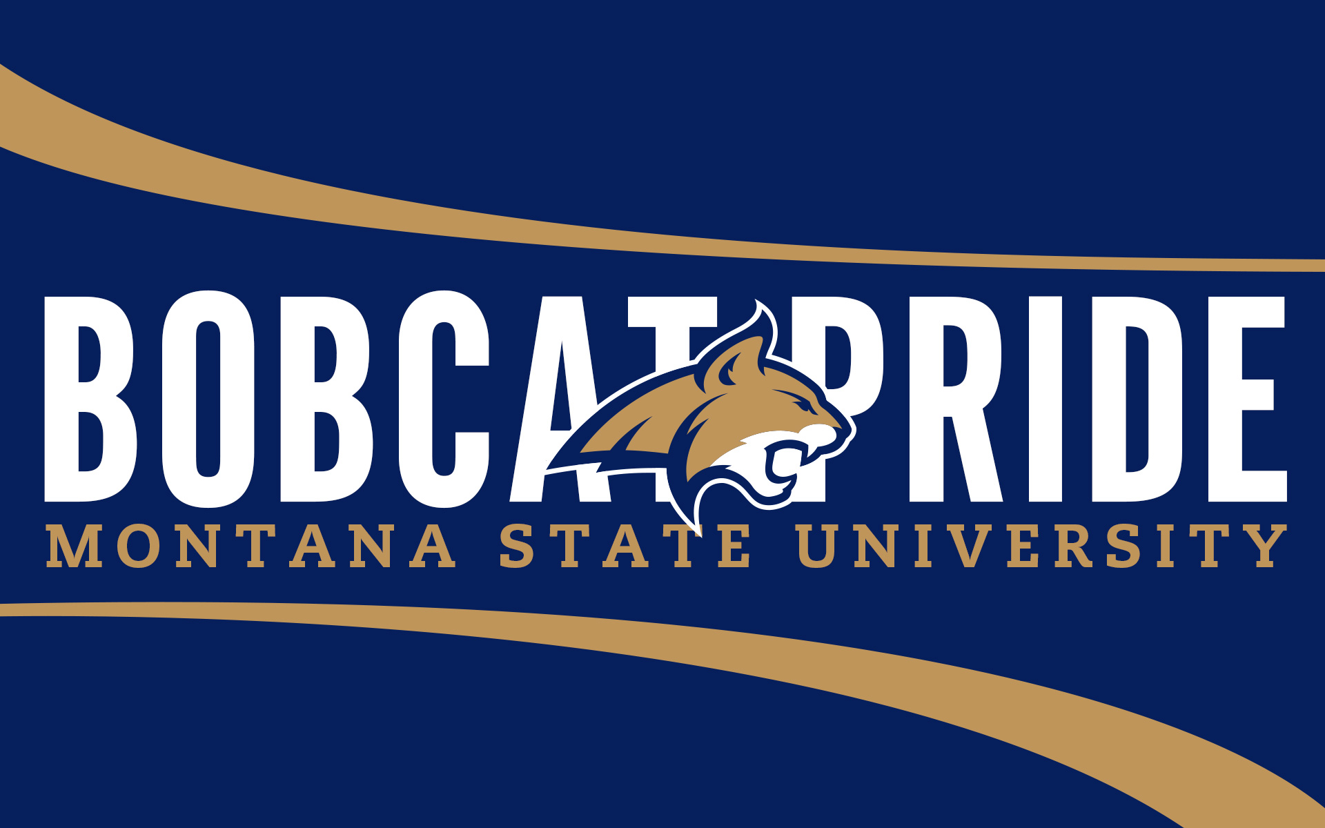 Big Ideas Bold Adventures Wallpaper - Bobcat Montana State University ...