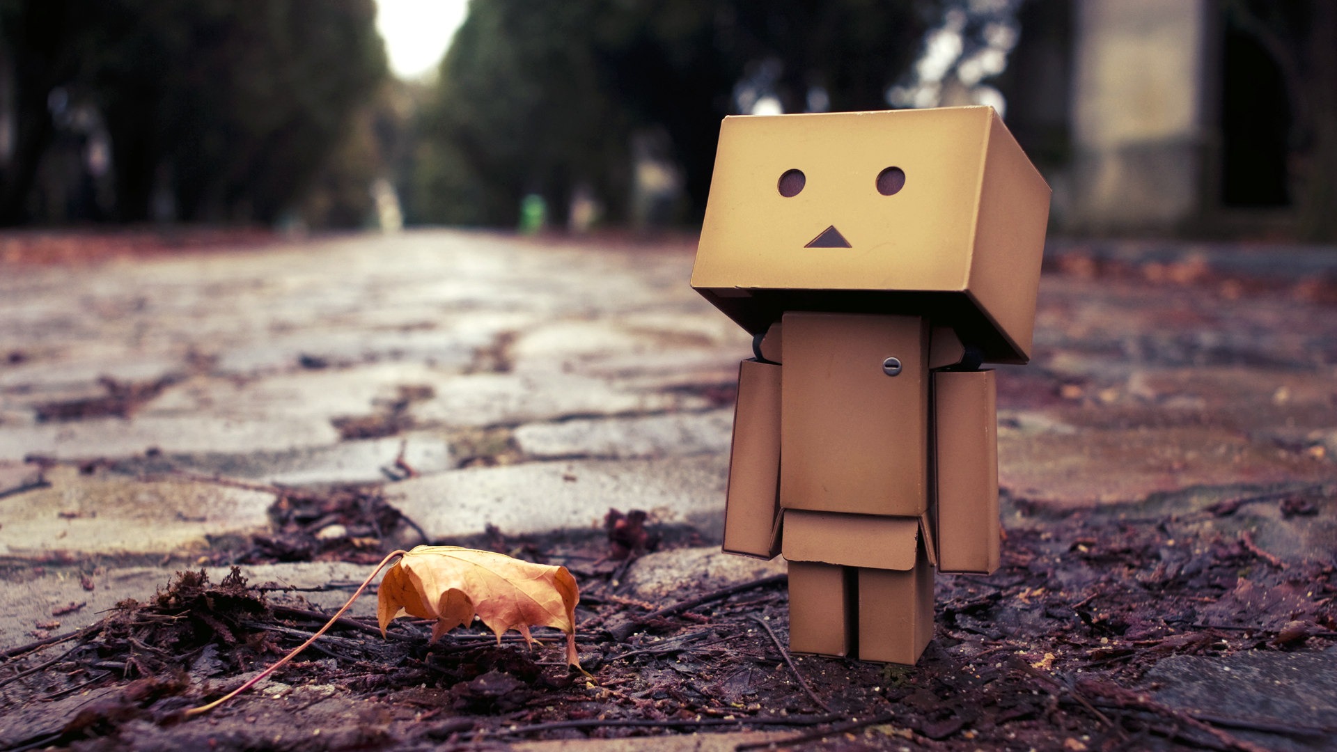 Danbo Hd - 1920x1080 Wallpaper - teahub.io