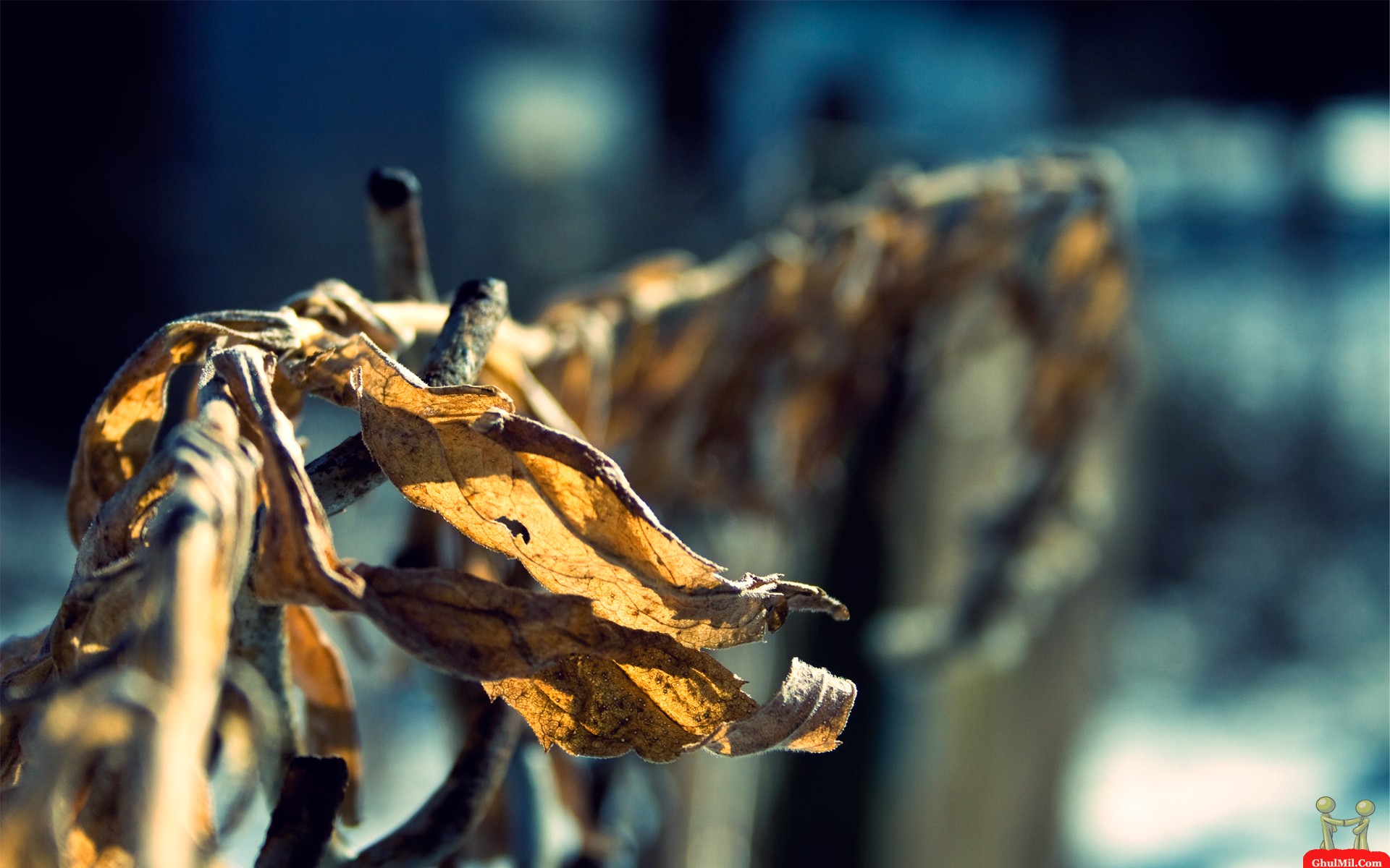 Elegant Wallpaper Of Pure 100% Quality Hd, - Pure Hd - 1920x1200 ...