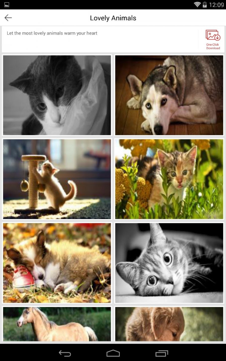 9apps - 900x1438 Wallpaper - teahub.io