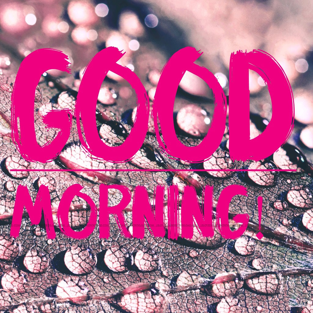 Free Download Beautiful Good Morning Images Good Morning Images Hd Free Download Beautiful Good Morning Images Good Morning Images Hd