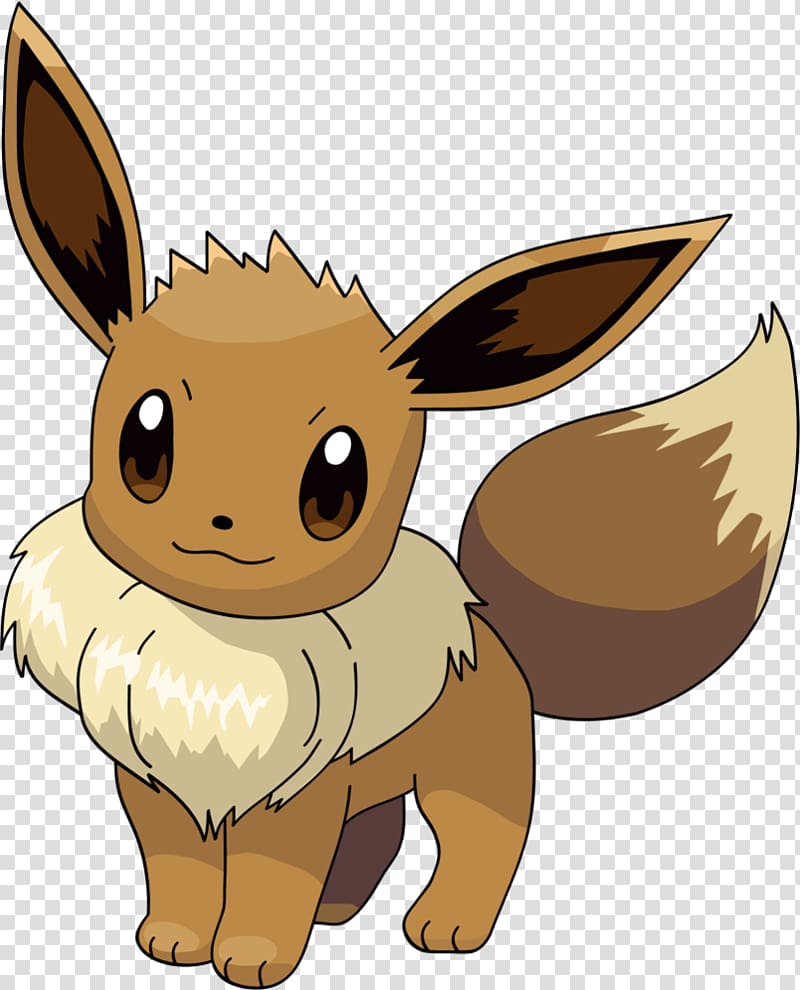Transparent Background Eevee Png - 800x990 Wallpaper - teahub.io