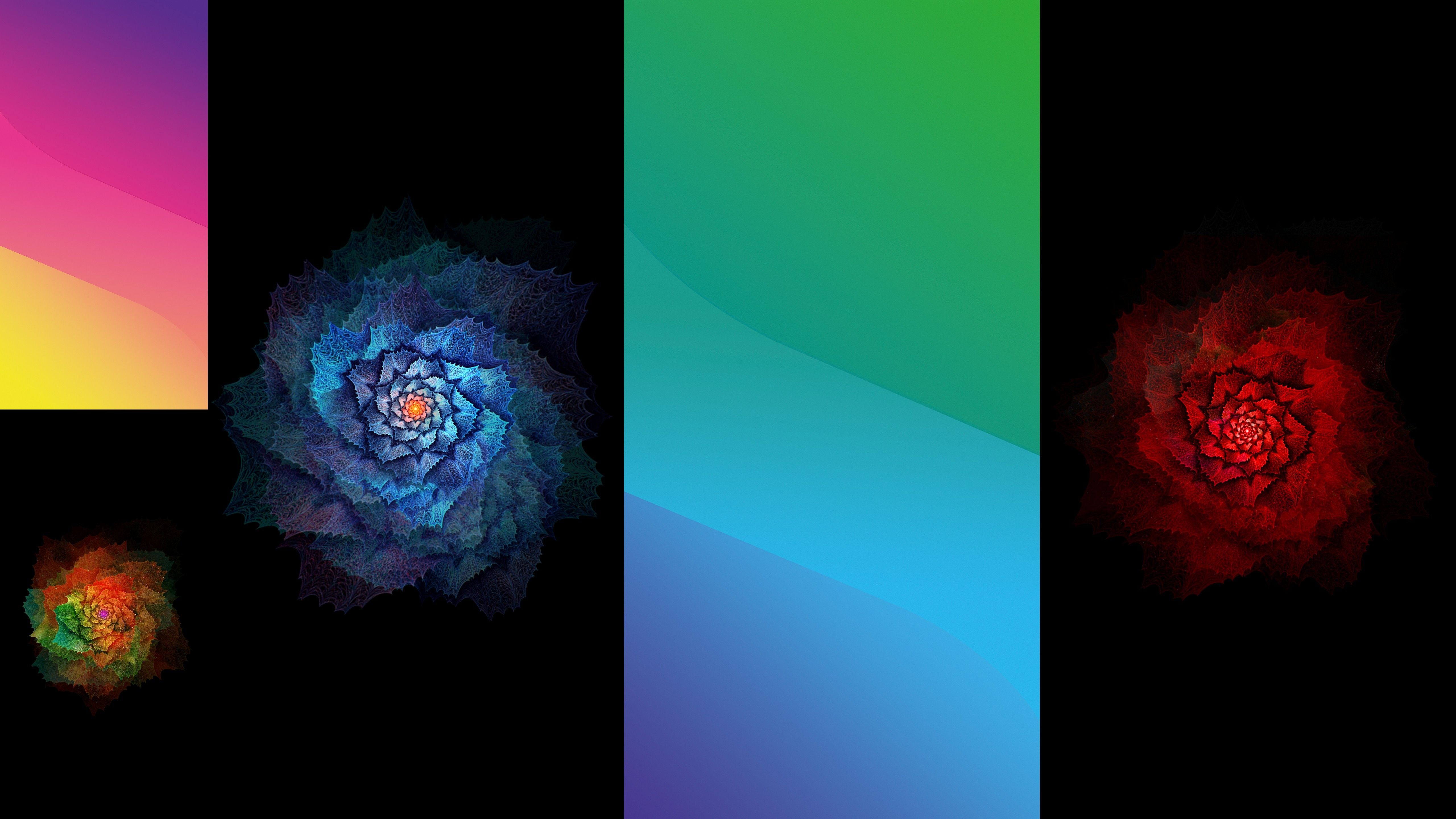 Oppo R9 - 5120x2880 Wallpaper - teahub.io