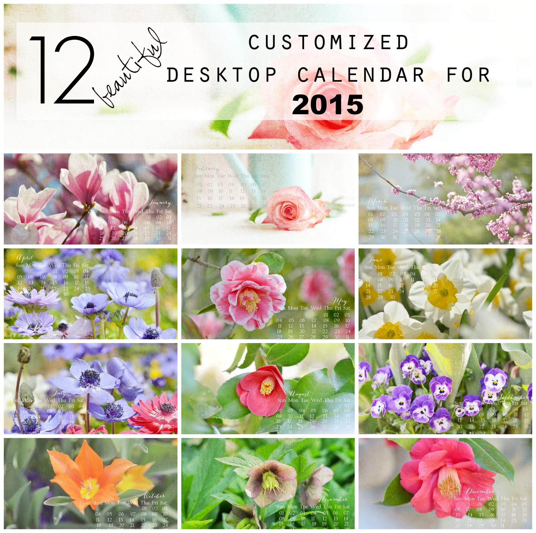 12 Beautiful Customized Desktop Calendar - Beautiful Pics For Calendars ...